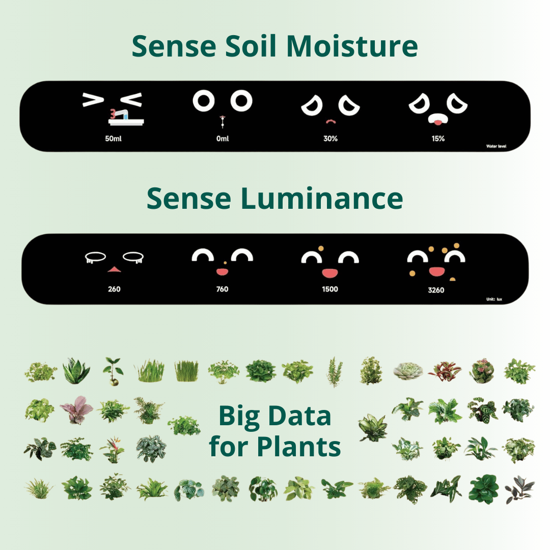 Plantie Smart Pot 🪴