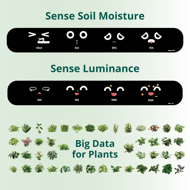Plantie Smart Pot 🪴