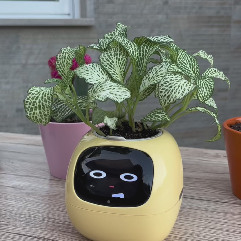 Plantie Smart Pot